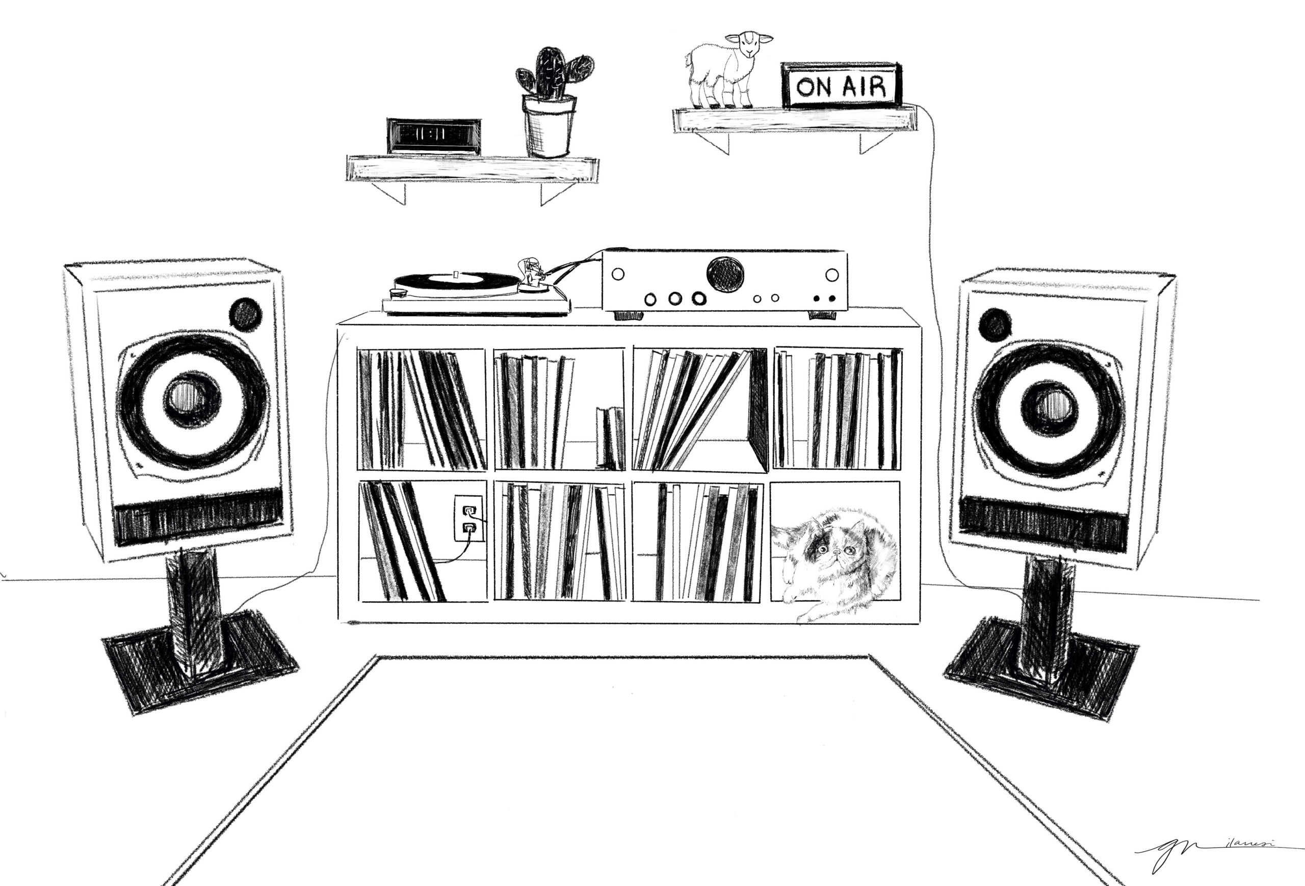 Intro to Hi-fi Audio: An Entry-Level Examination | In Sheeps Clothing