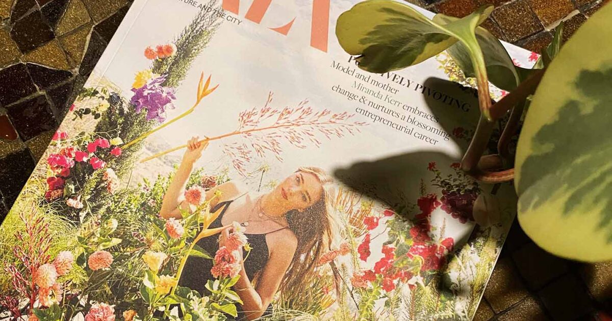 New Beginnings for LALA Magazine | In Sheeps Clothing