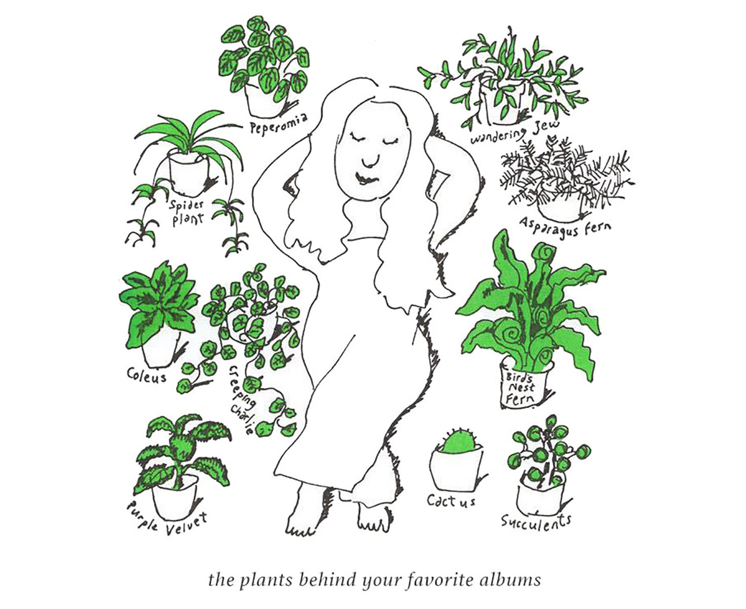 The Plants Behind Your Favorite Albums | In Sheeps Clothing