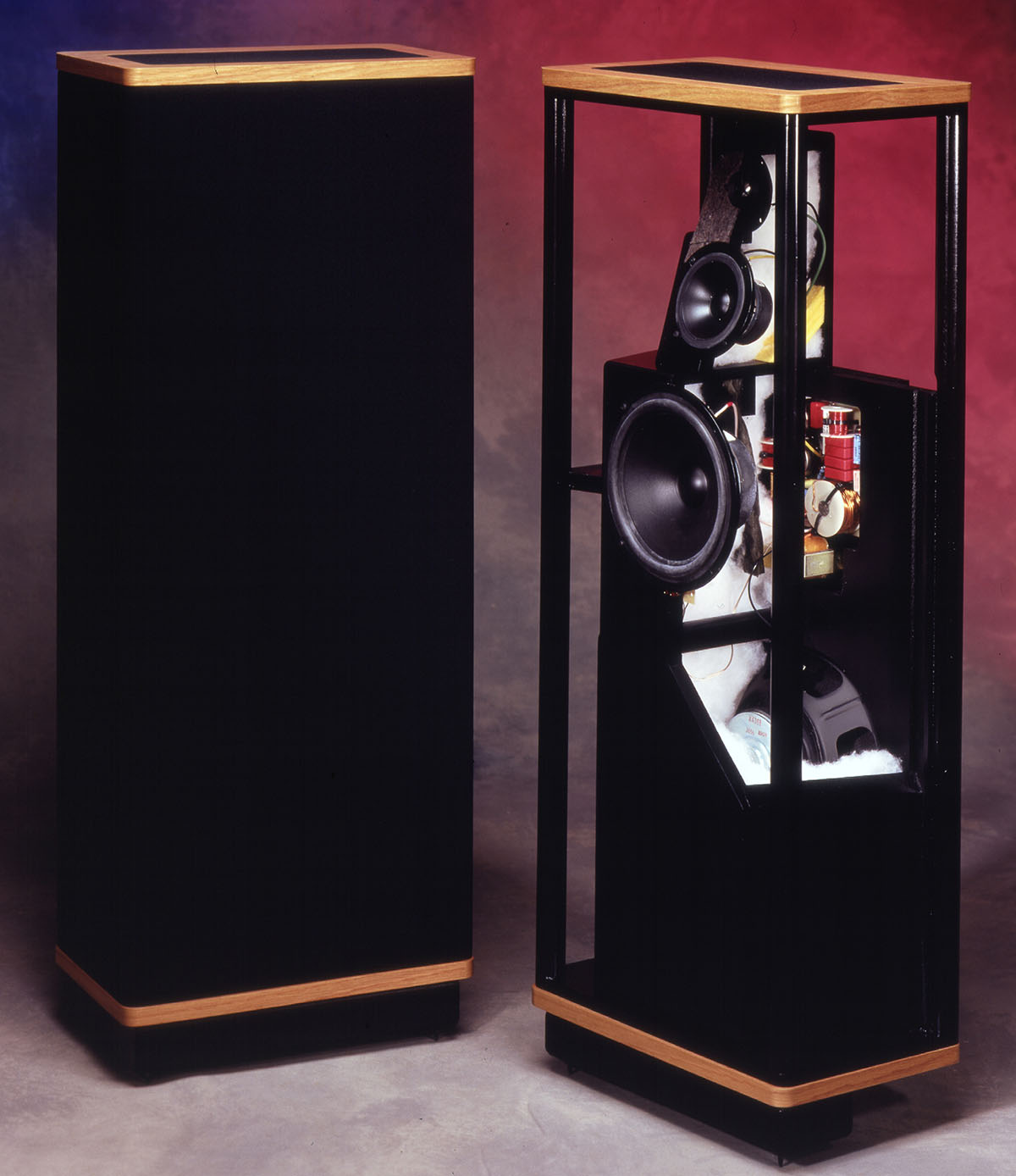 Vandersteen 1Ci Speakers: A Logical Choice for Newbies | In Sheeps Clothing
