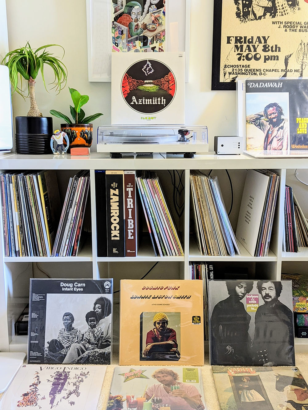 Monthly Vinyl Selections: Join the In Sheep’s Clothing Record Club | In ...