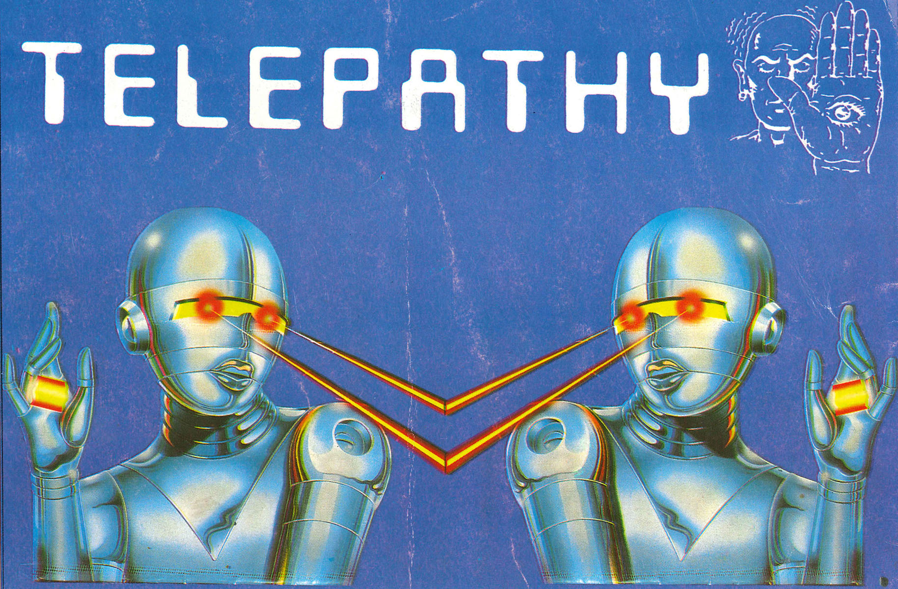 Wild Life Archive: In Conversation with Steve Terry | In Sheeps Clothing