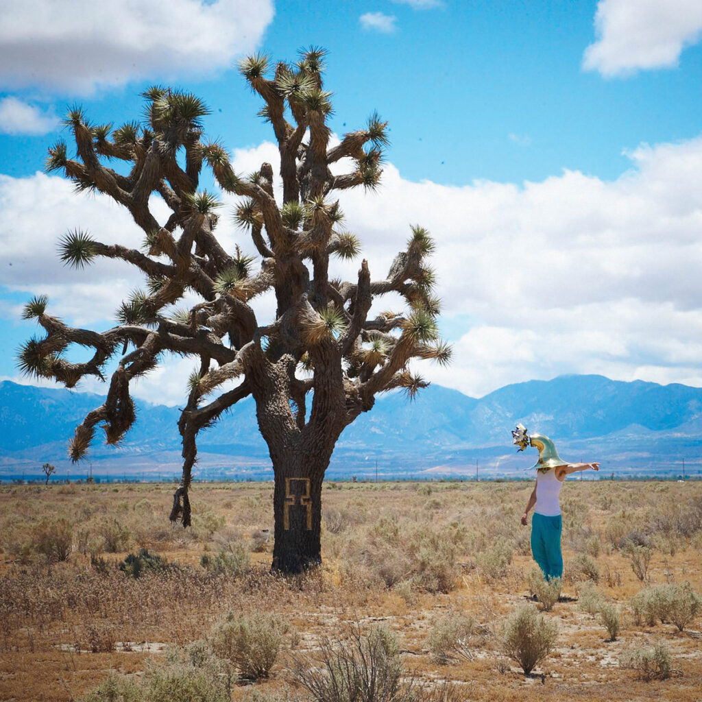 IMA Robot’s Second Act: The Return of Another Man’s Treasure | In ...