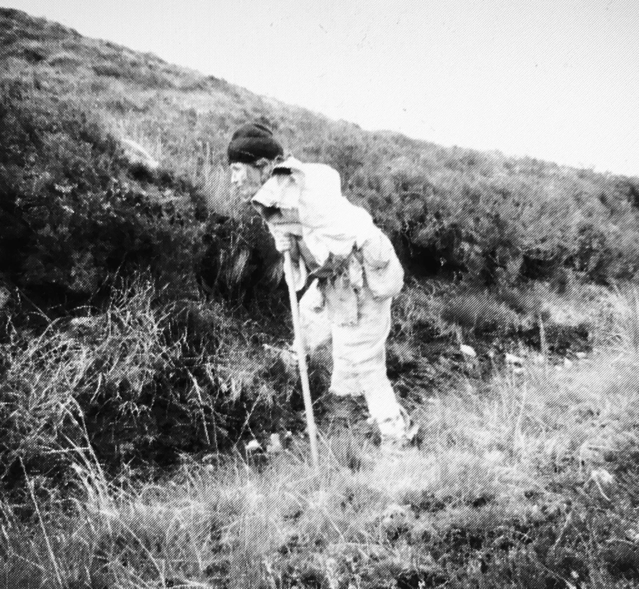 Three New Worlds from EM Records: Takao, aus, and The Worm | In Sheeps ...